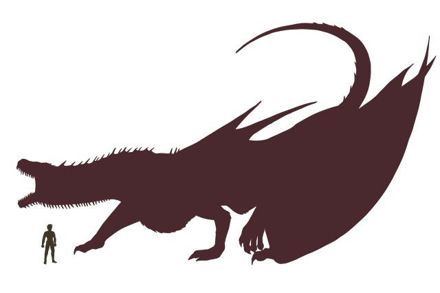 Dragon Size Chart 3! | Whims from Valadae