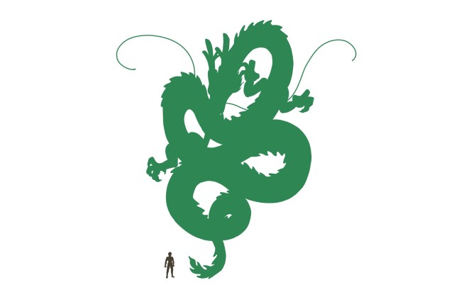 Dragon Size Chart 3! | Whims from Valadae